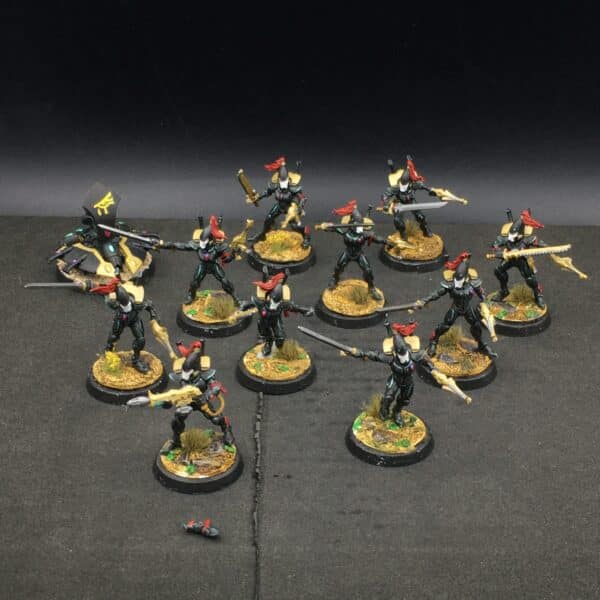 Storm Guardians (x10+1) - #85557 - Mindtaker Miniatures