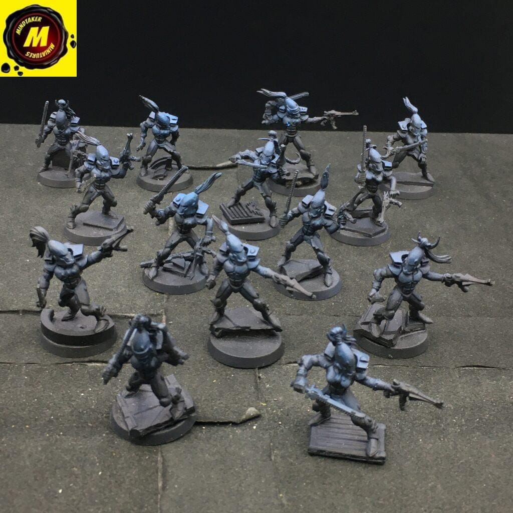 Storm Guardians (x14) (Converted) - #104248 - Mindtaker Miniatures